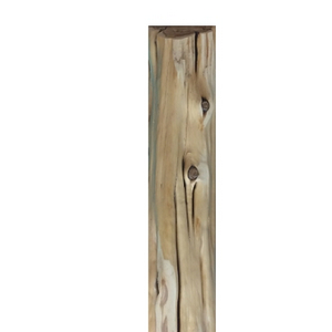 Departments - CEDAR POST 8" X 10' PEELED