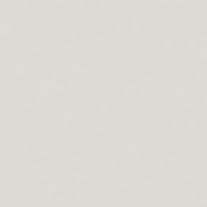 Departments - FORMICA CHEMTOP GRAYSTONE A3 4X8