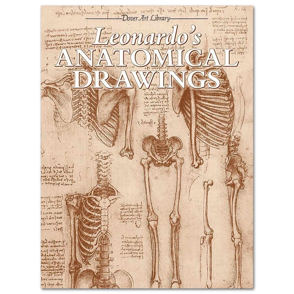 LEONARDO S ANATOMICAL DRAWINGS