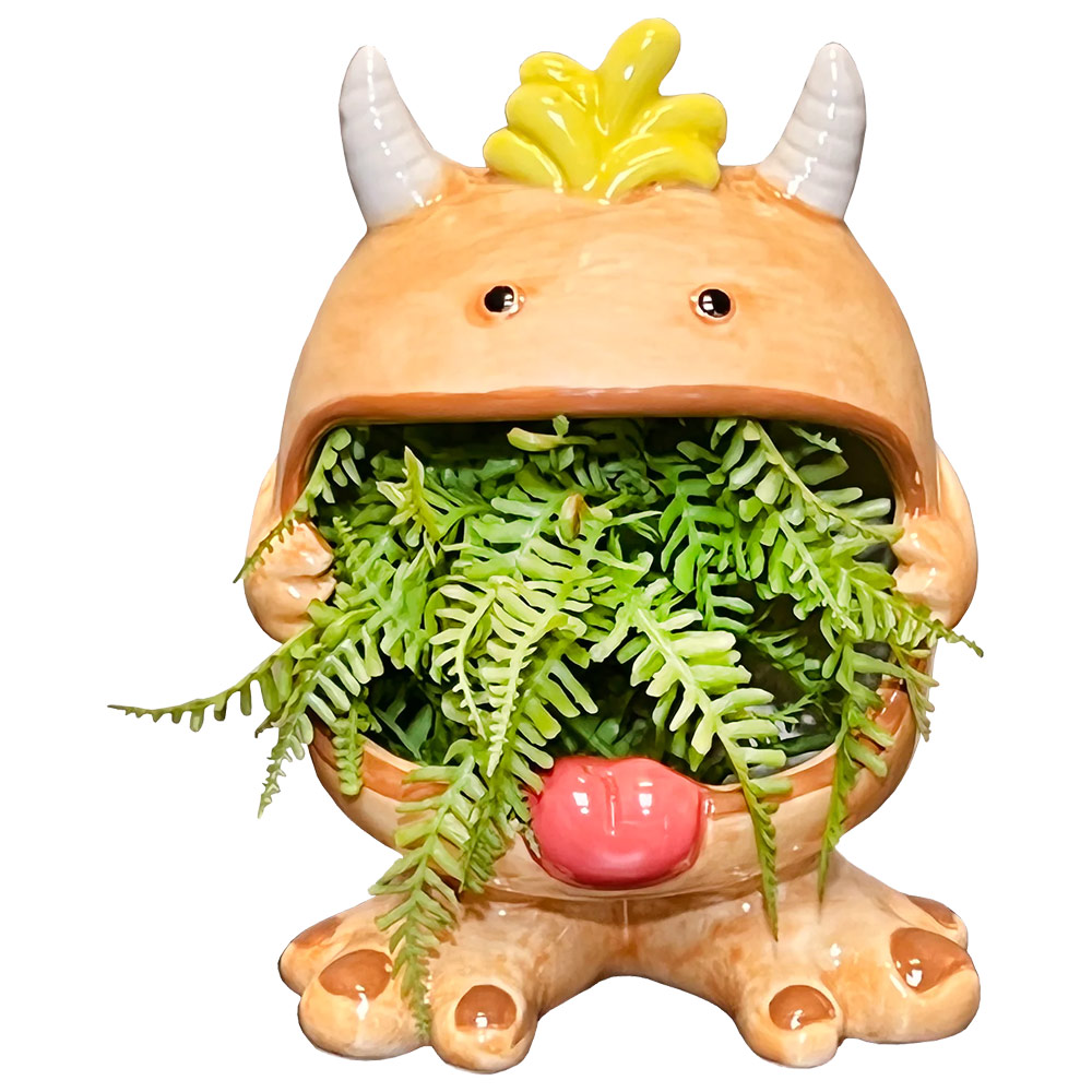 Ceramic Hold All Echo Kooky Monster