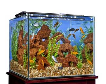 Aquariums:.with overflow drains